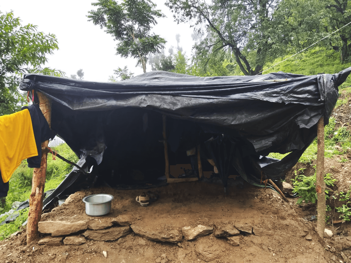 On the run: Survivor helps three girls escape their traffickers ...