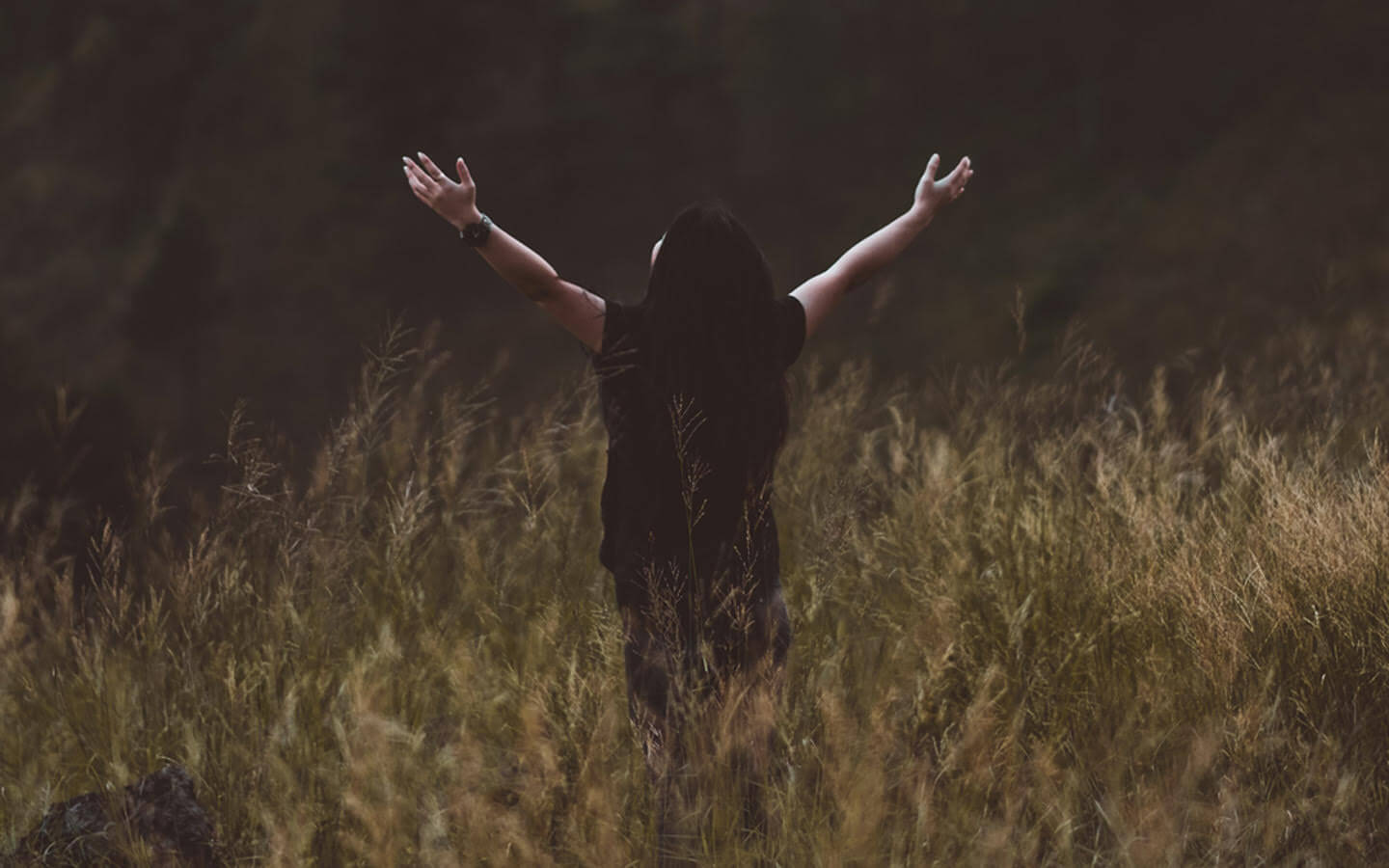 Celebrating 751 rescues in 2020 - Destiny Rescue AU | Destiny Rescue AU