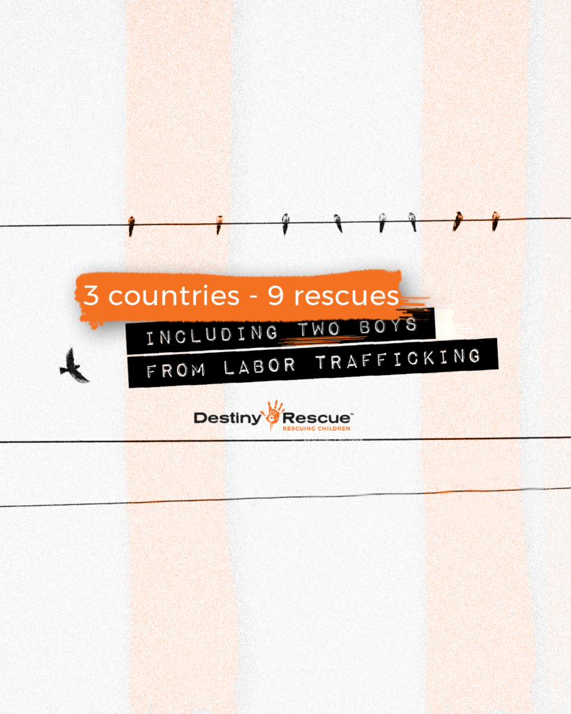 Three countries - nine rescues - Destiny Rescue AU | Destiny Rescue AU