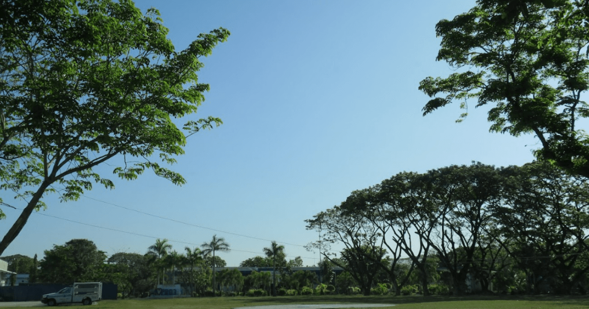 Flawless Raid Takes Unexpected Twist - Destiny Rescue AU | Destiny ...