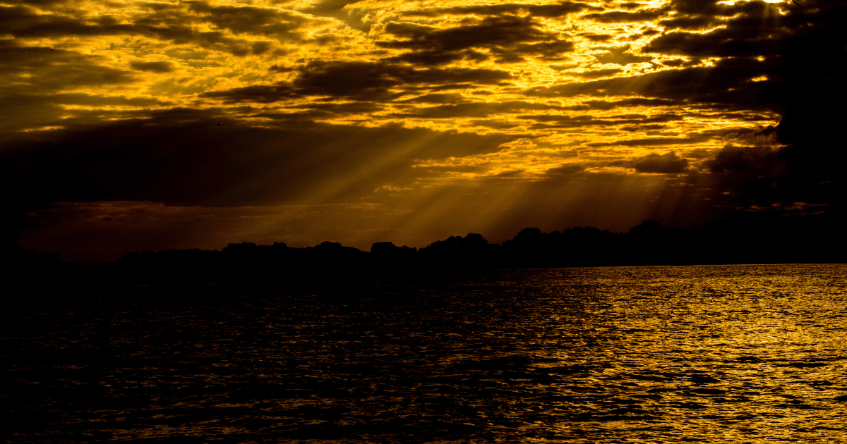 Celebrating a Year of Rescue in Zimbabwe - Destiny Rescue AU | Destiny ...