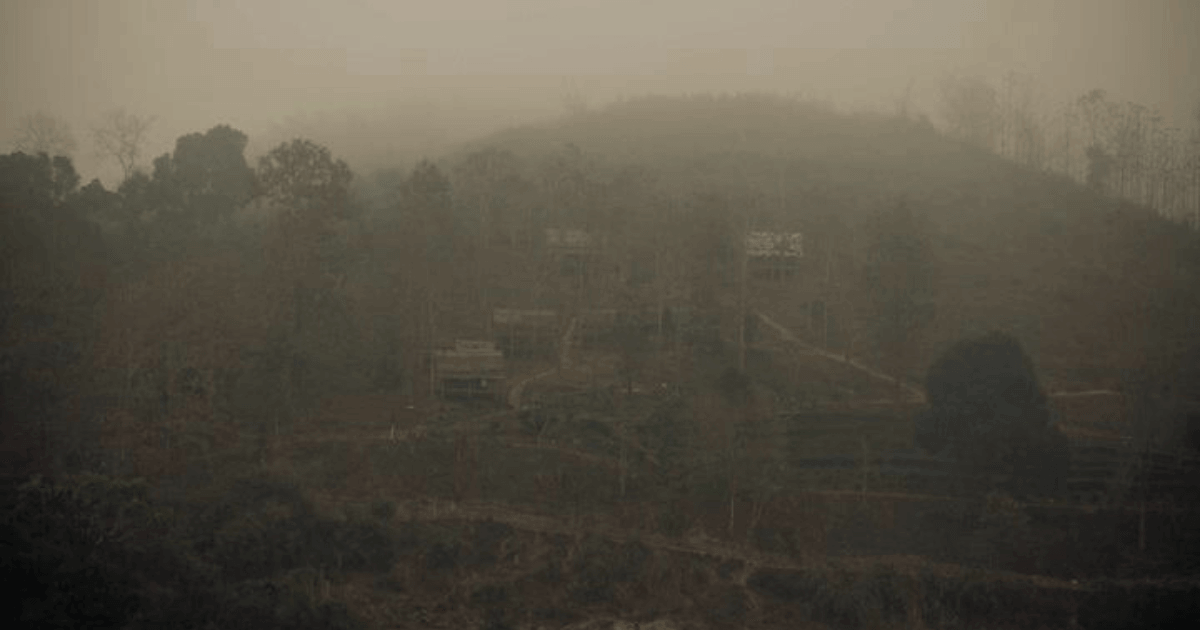 Jungle Escape - Destiny Rescue AU | Destiny Rescue AU